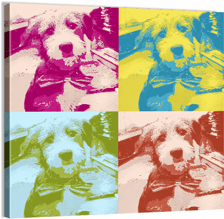Pop Art Andy Warhol Animals